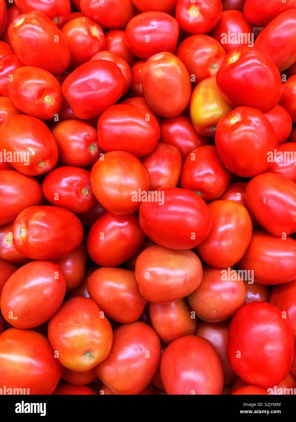Roma tomatoes in a bin hi-res stock photography and images - Alamy