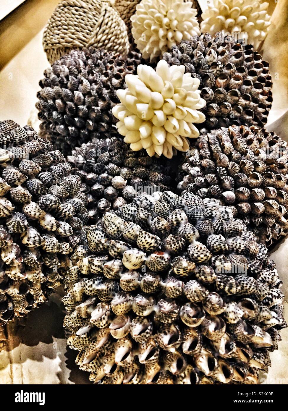 Seashell balls and twine Stock Photo - Alamy