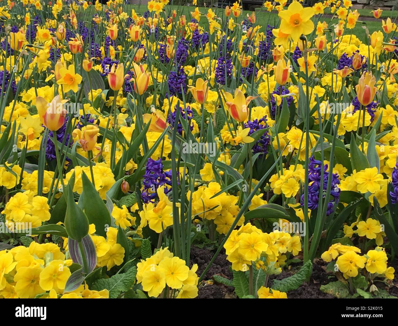 Mass spring display hi-res stock photography and images - Alamy