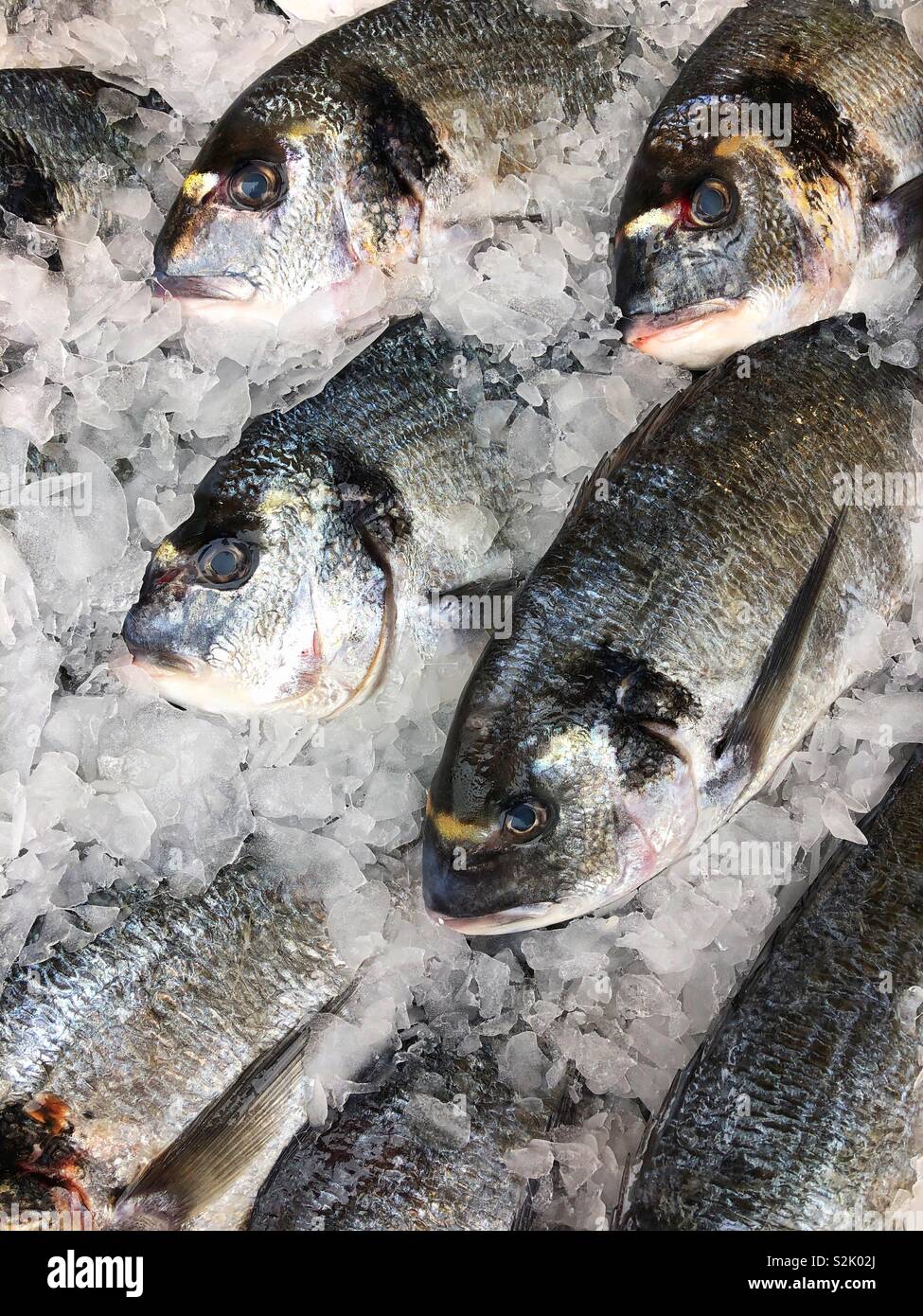 French fishmongers hi-res stock photography and images - Alamy