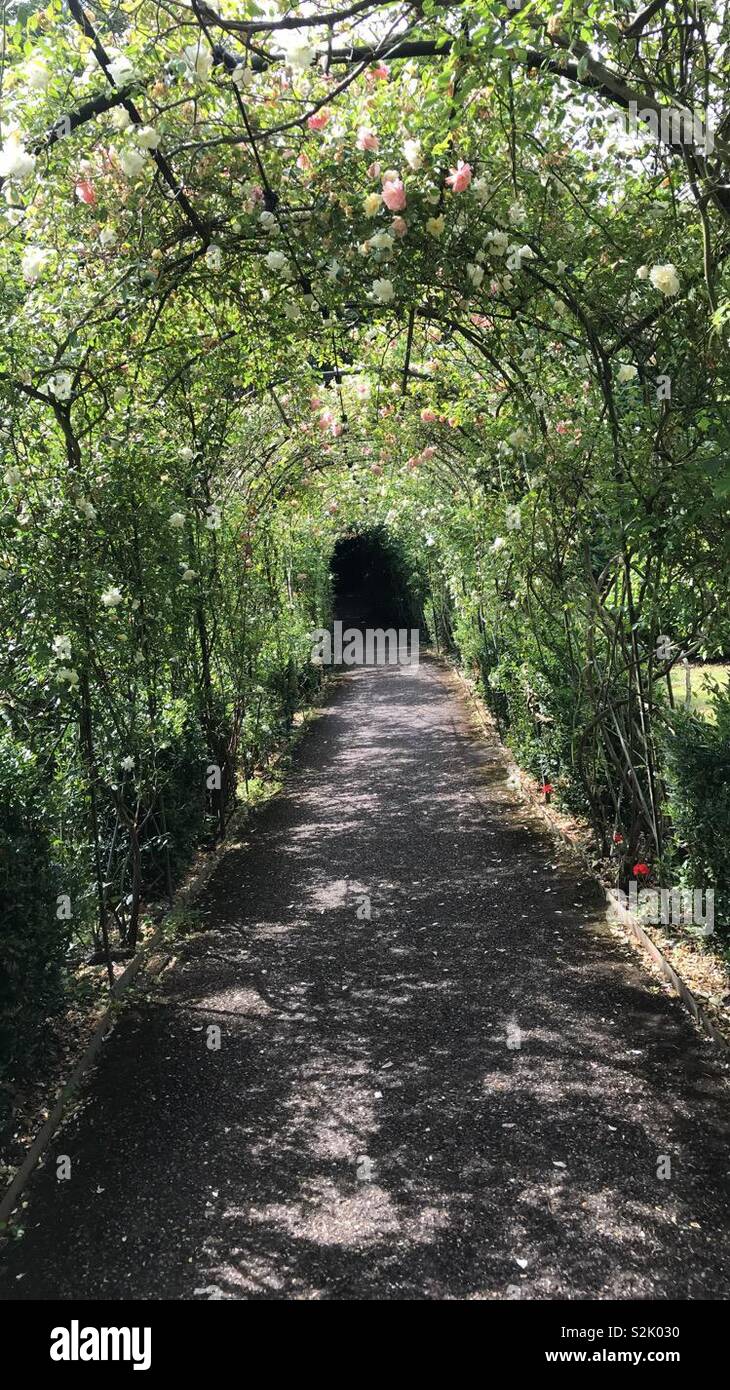 Plant arch pathway Stock Photo - Alamy