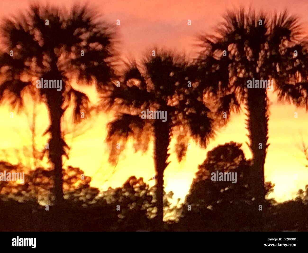Savannah sunsets hi-res stock photography and images - Alamy
