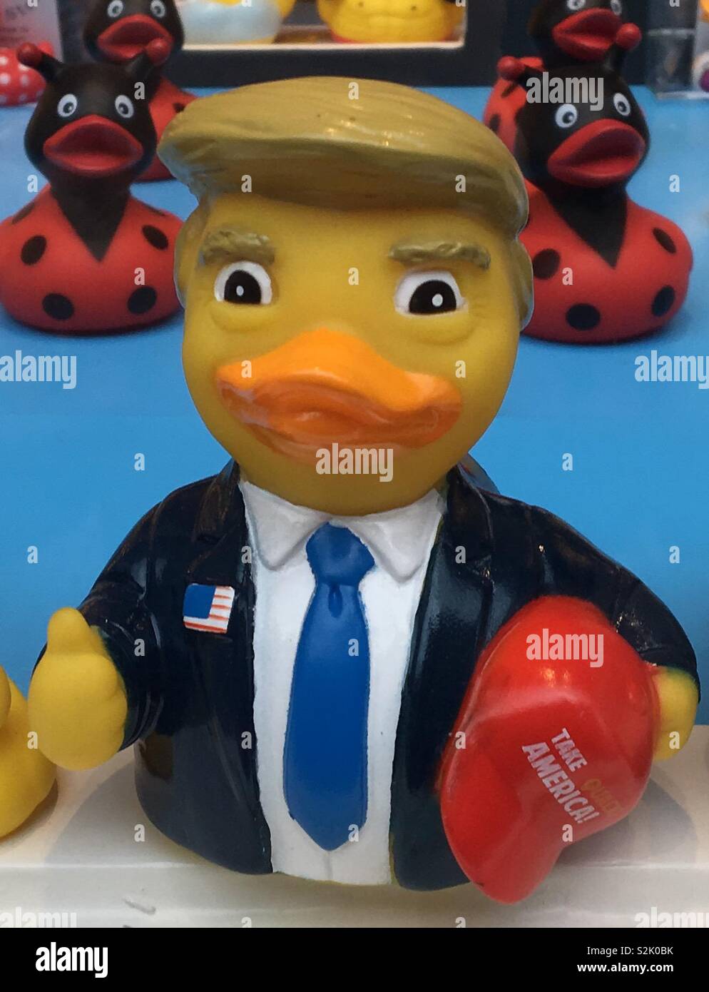 Rubber duck Trump Stock Photo - Alamy