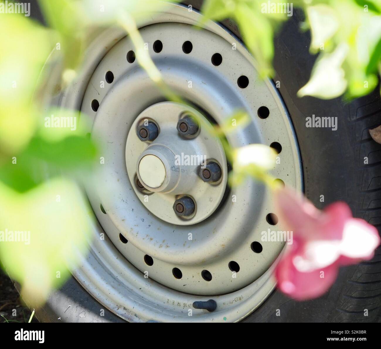 Nature verses the wheel Stock Photo - Alamy