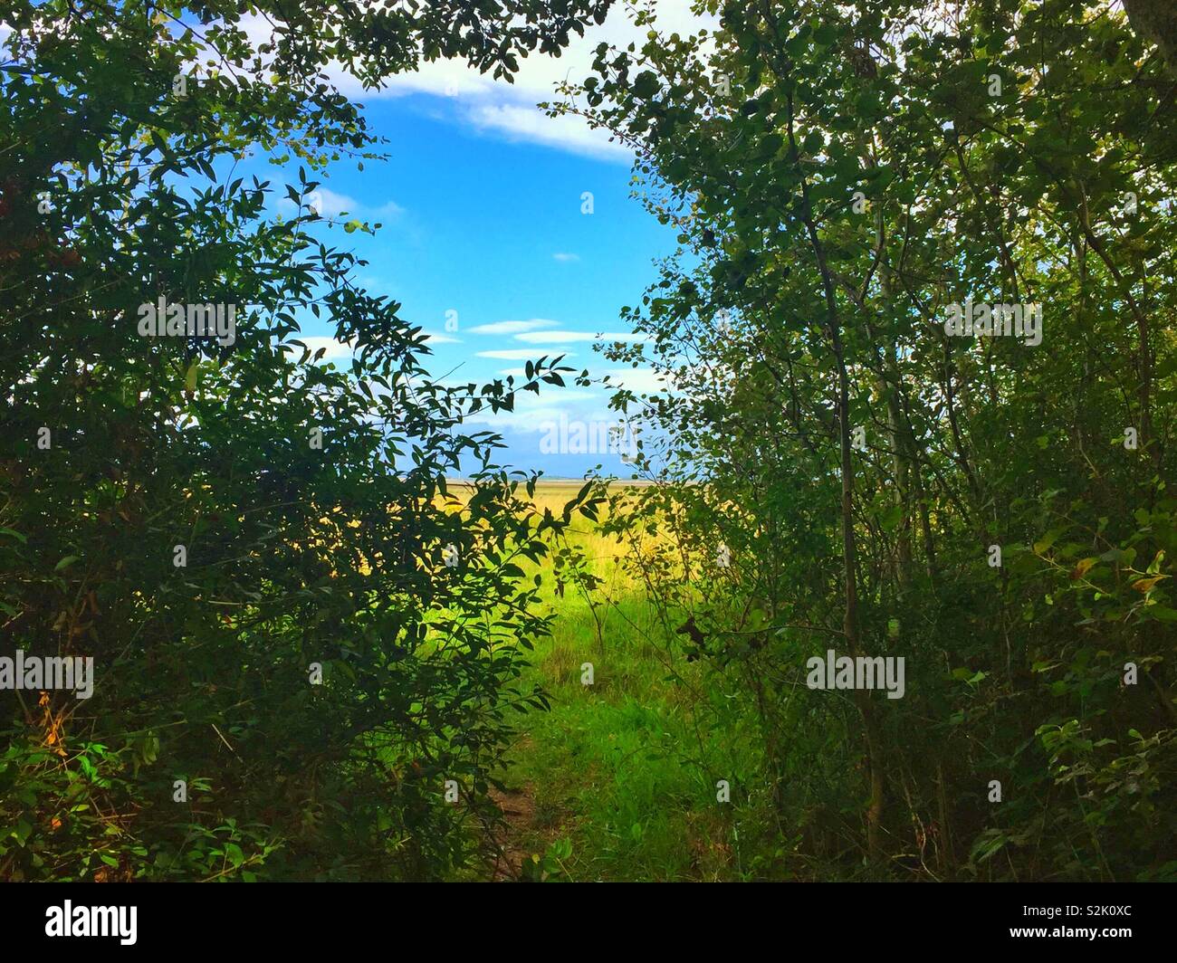 Knott end on sea hi-res stock photography and images - Alamy