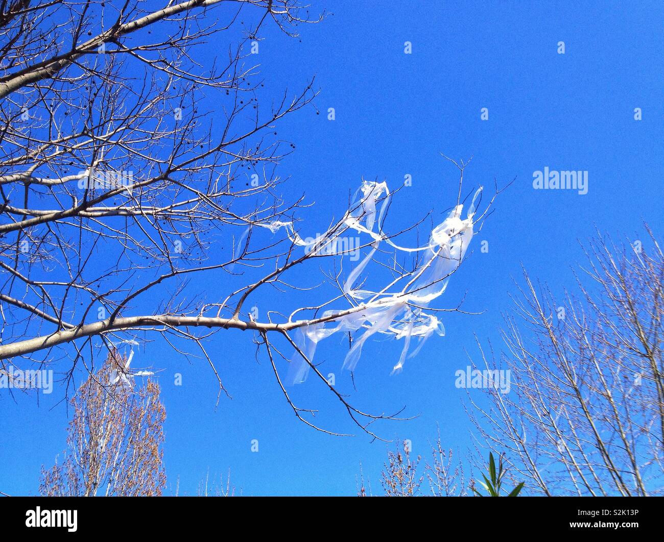 Plastic pollution tree hi-res stock photography and images - Alamy