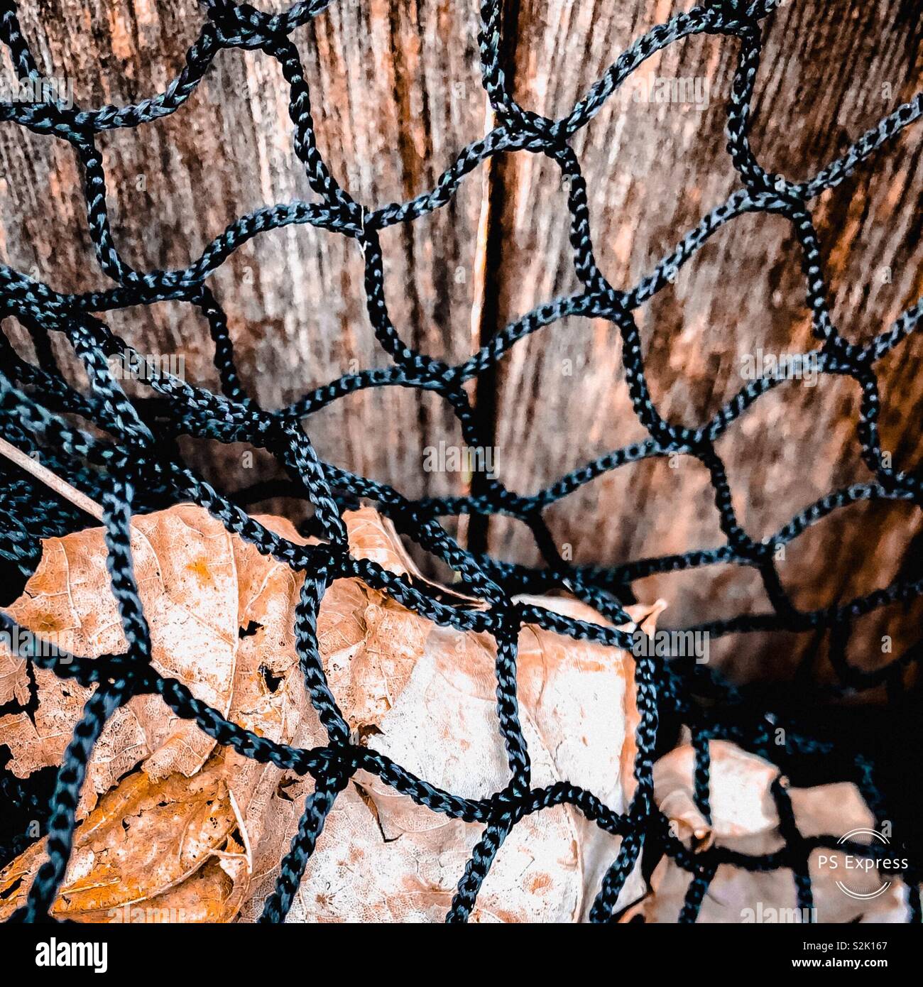 Leaf braids hi-res stock photography and images - Alamy