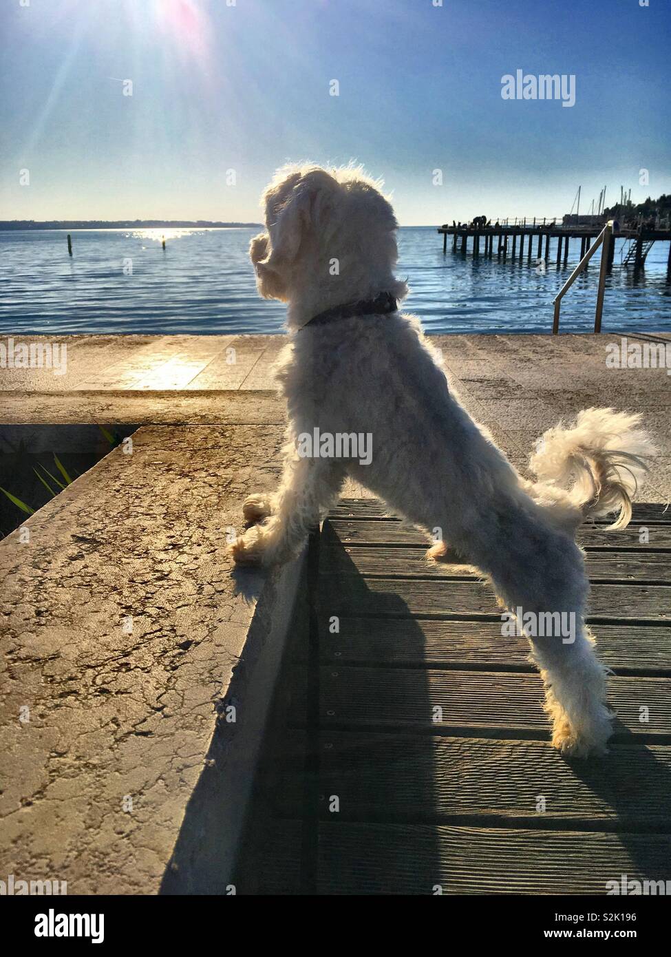 Maltezer hi-res stock photography and images - Alamy