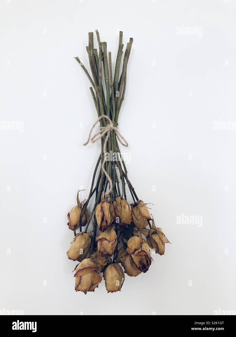 Dried roses hi-res stock photography and images - Alamy
