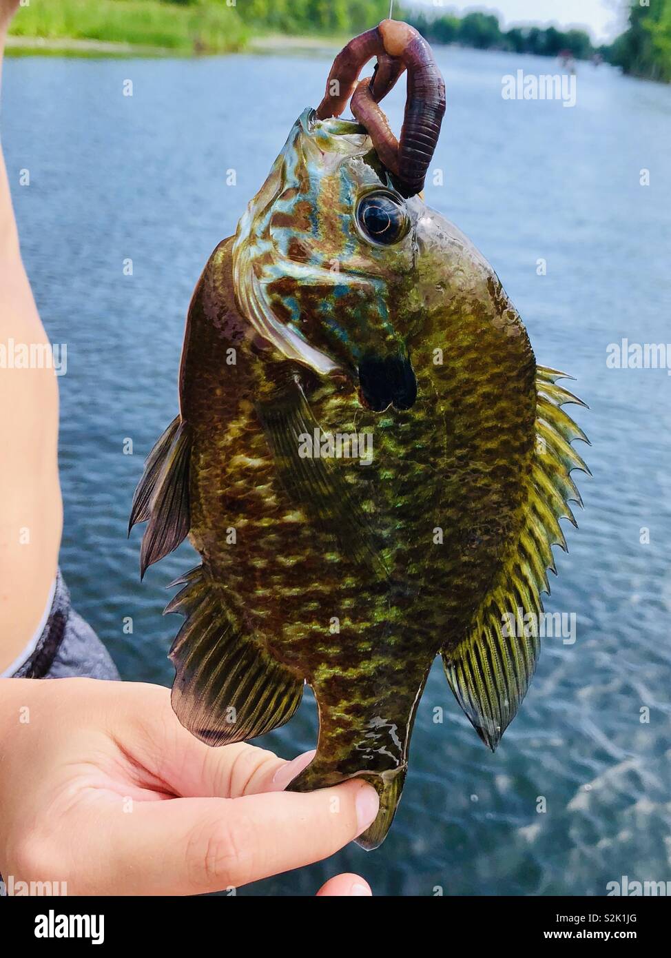 Crappie fishing hi-res stock photography and images - Alamy