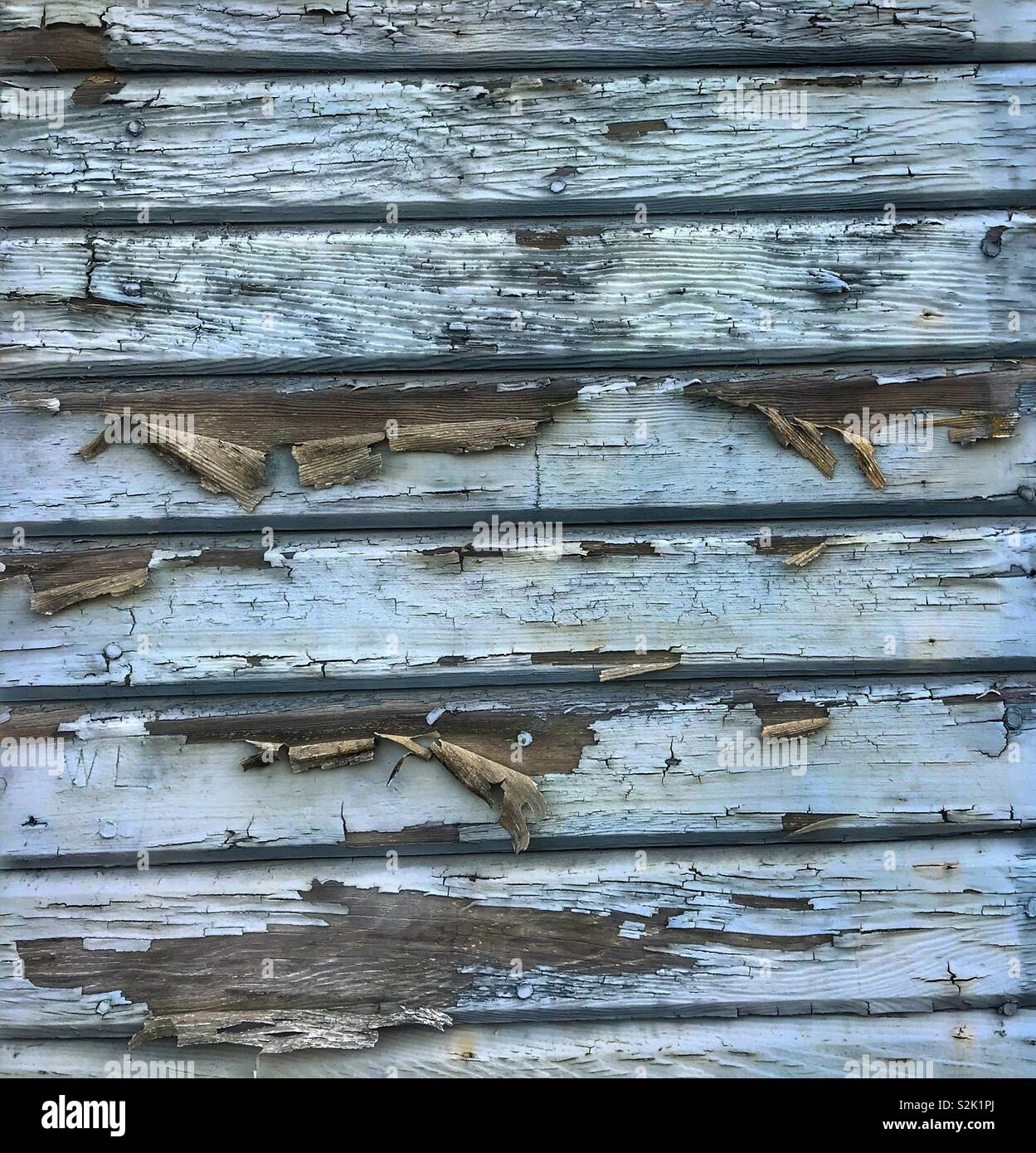 Paint pealing from old barn wood Stock Photo - Alamy
