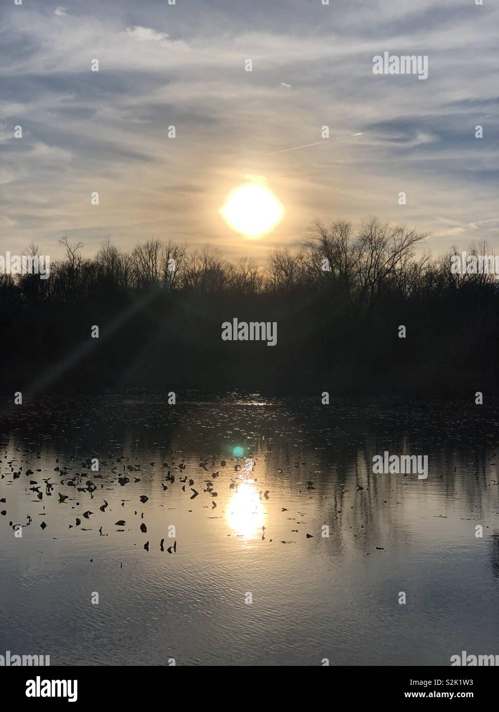 Water farm trees hi-res stock photography and images - Alamy