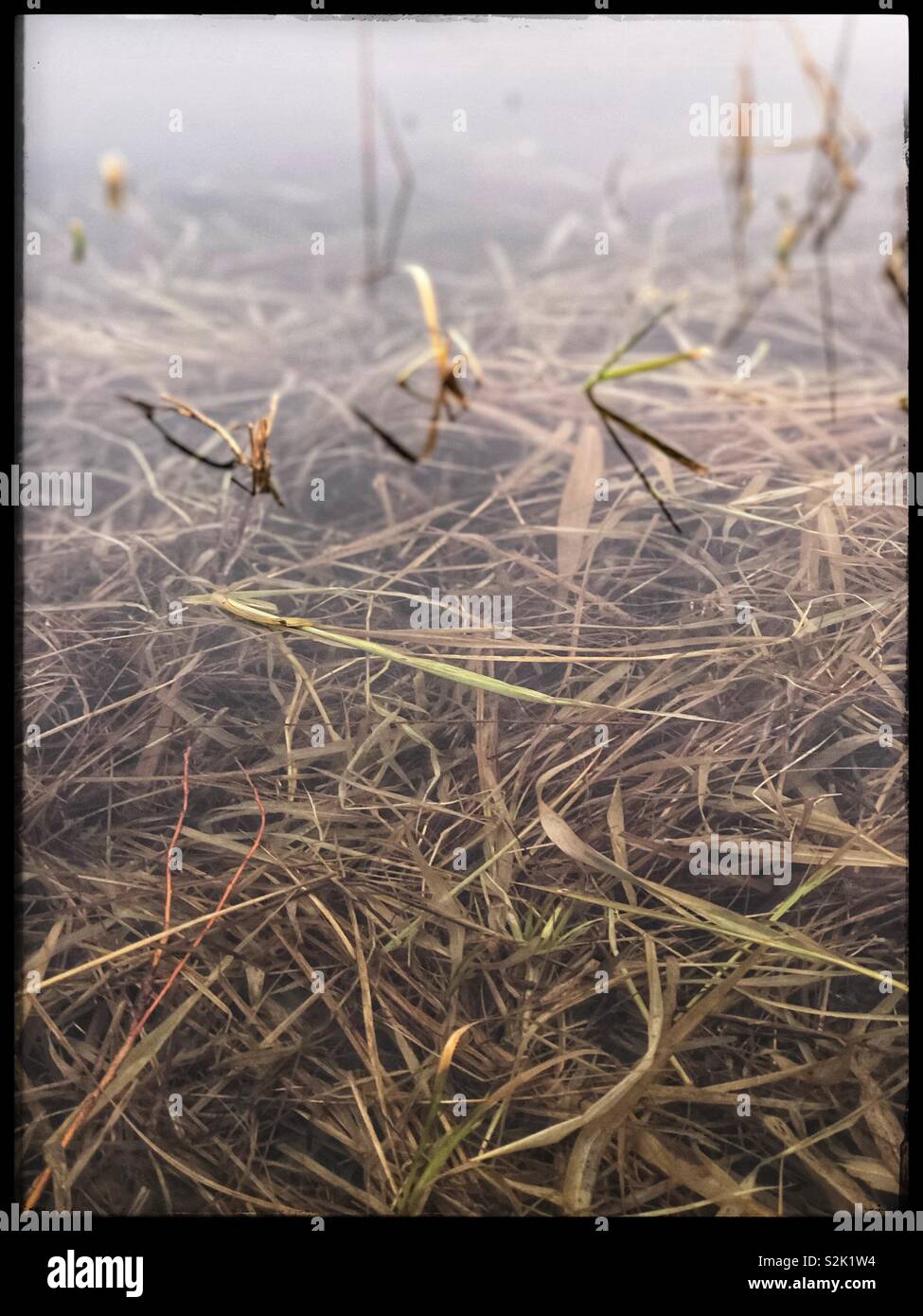 Smooth still water hi-res stock photography and images - Alamy