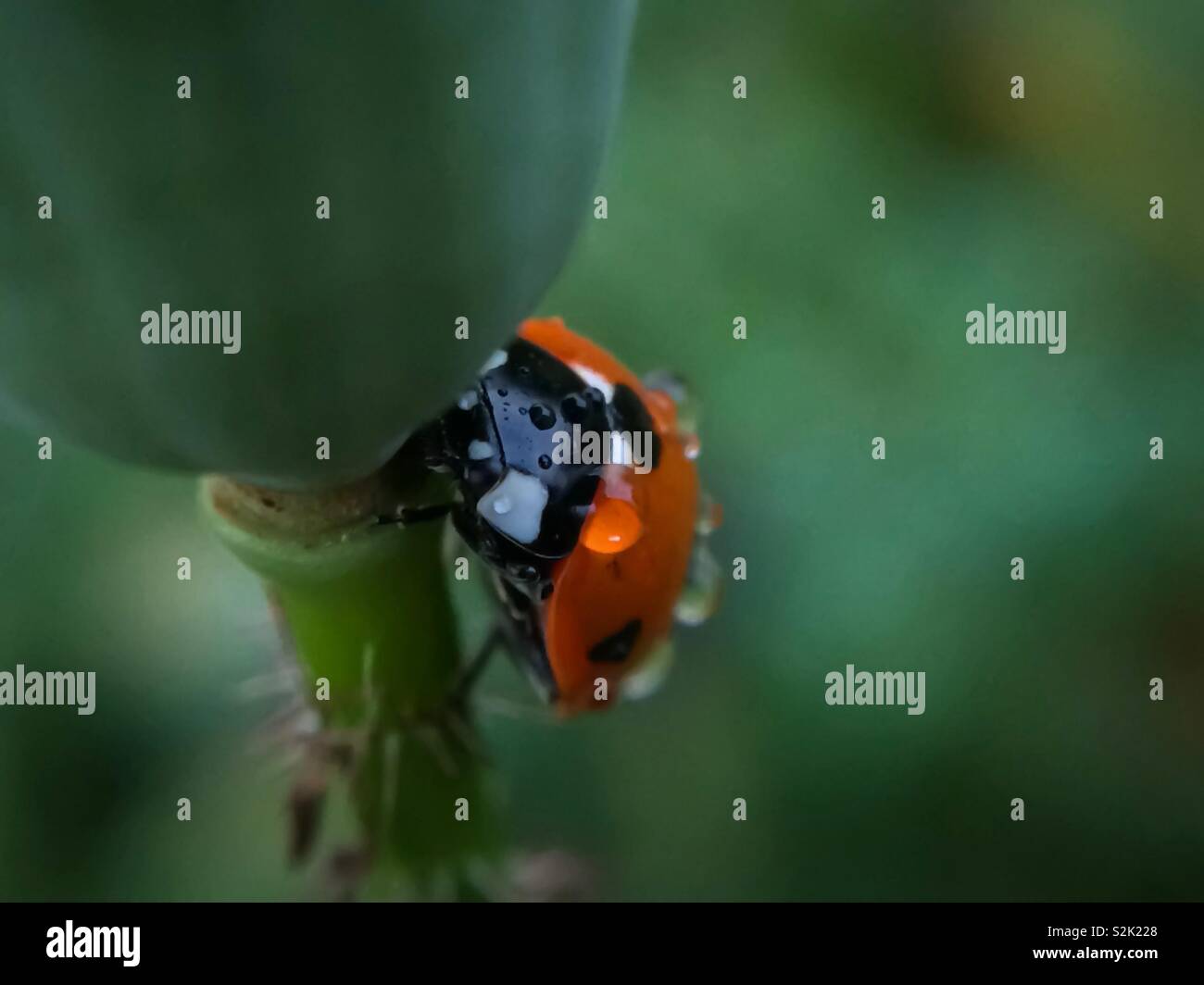 Concurring hi-res stock photography and images - Alamy