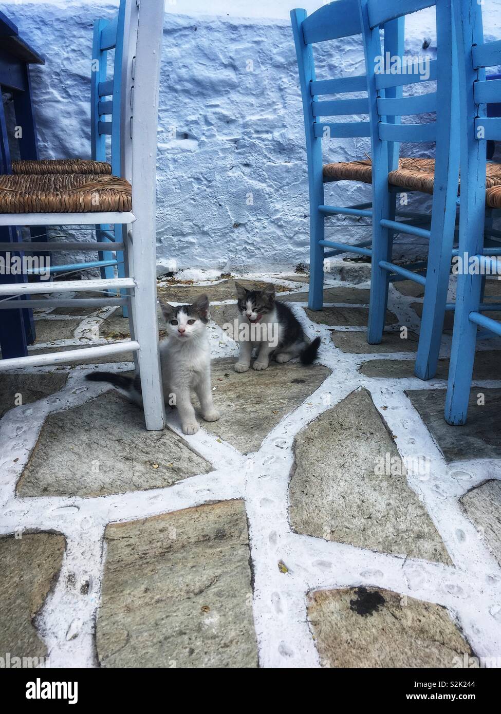 Greek kittens hi-res stock photography and images - Alamy