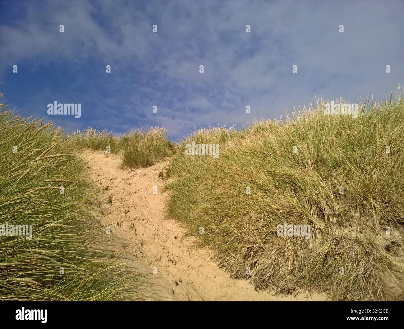 Footprints in the sand on a path through grass covered sand dunes Stock ...
