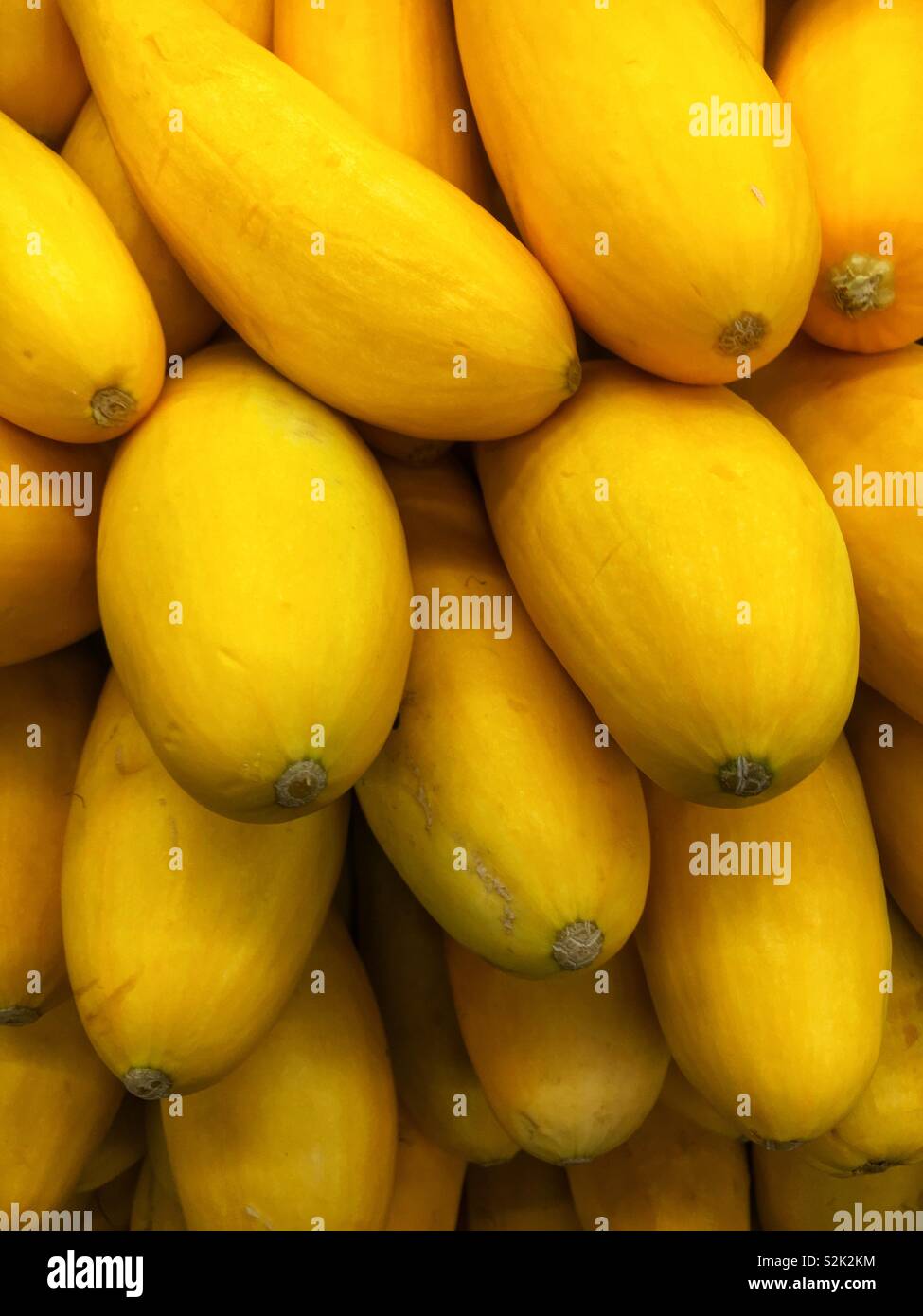 Full frame of fresh ripe yellow squash on display and for sale at the ...
