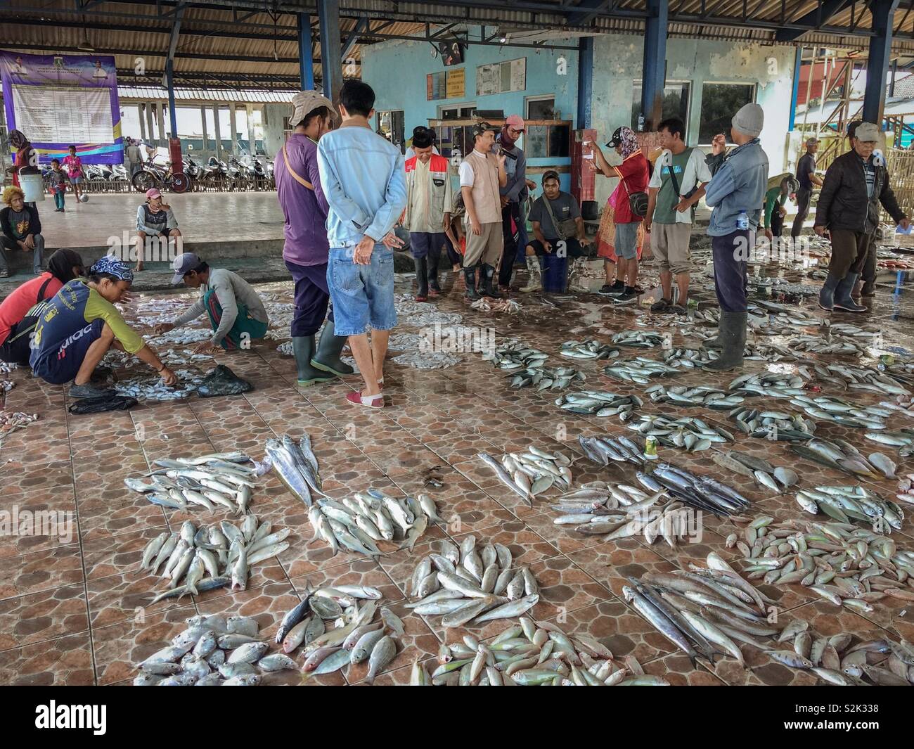 Human fish hi-res stock photography and images - Alamy