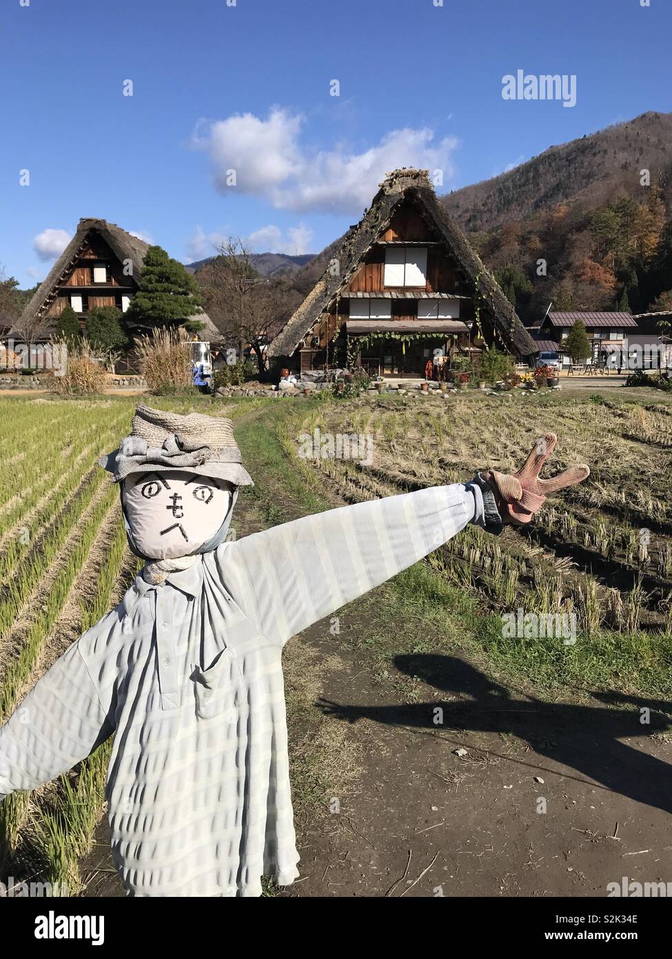 Cute scarecrow on rice field, Shirakawa-go, Japan Stock Photo - Alamy