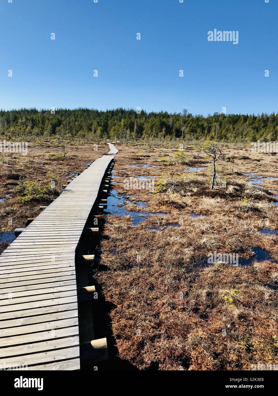 Bog trail hi-res stock photography and images - Alamy