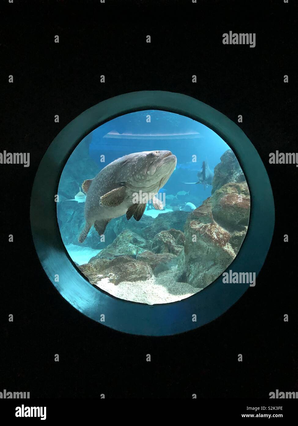 Circle tank hi-res stock photography and images - Alamy