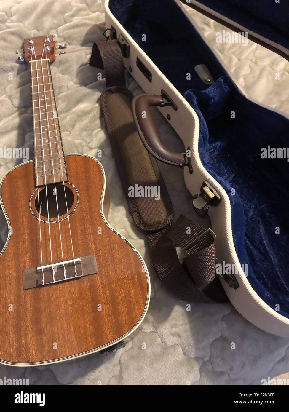 Ukulele case hi-res stock photography and images - Alamy