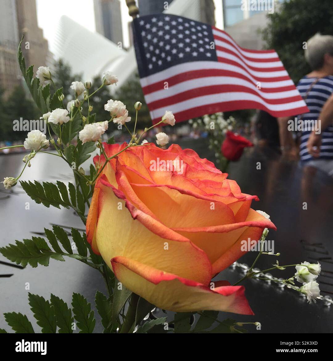 Red rose flag hi-res stock photography and images - Alamy