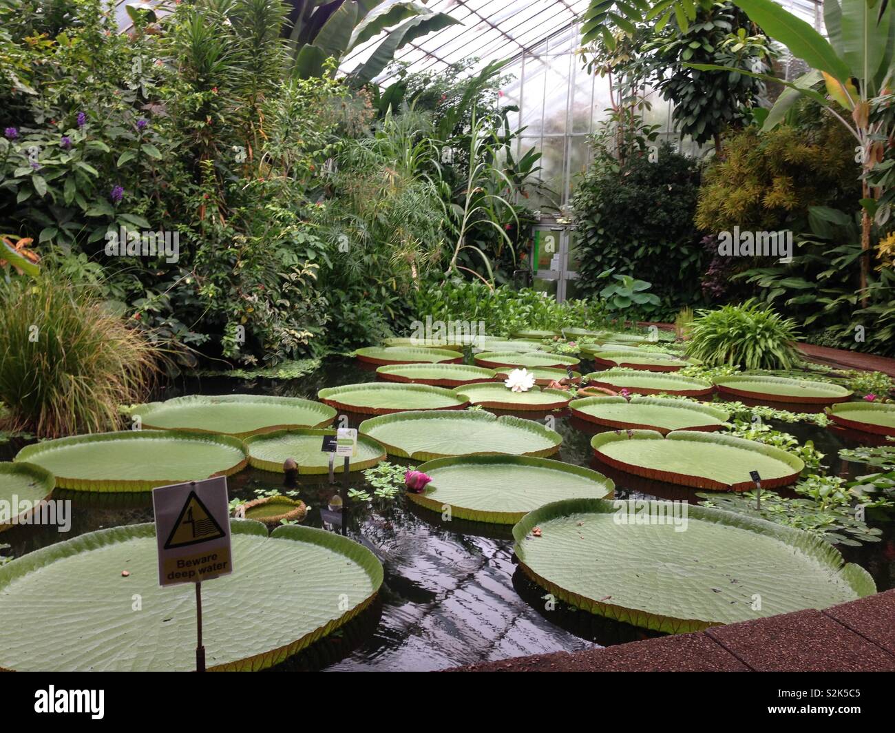 Edinburgh botanical gardens hi-res stock photography and images - Alamy