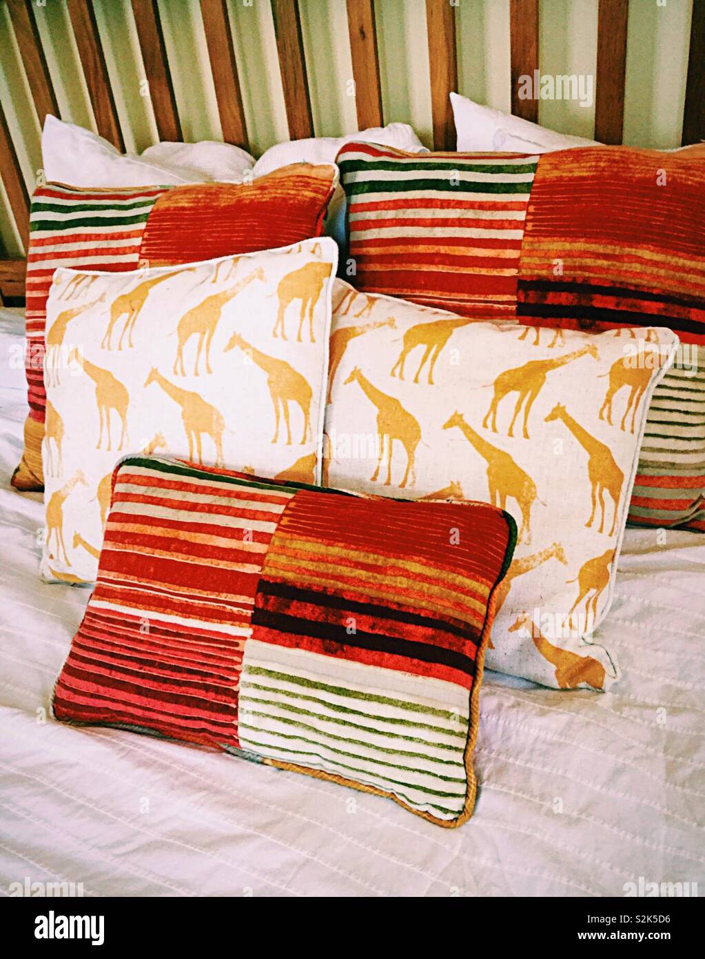 Home for giraffes hi-res stock photography and images - Alamy