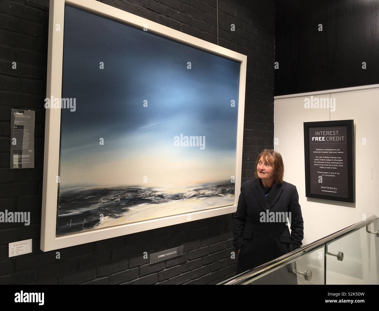 Artist Lynne Timmington with her 5ftx4ft painting on sale in Whitewall ...