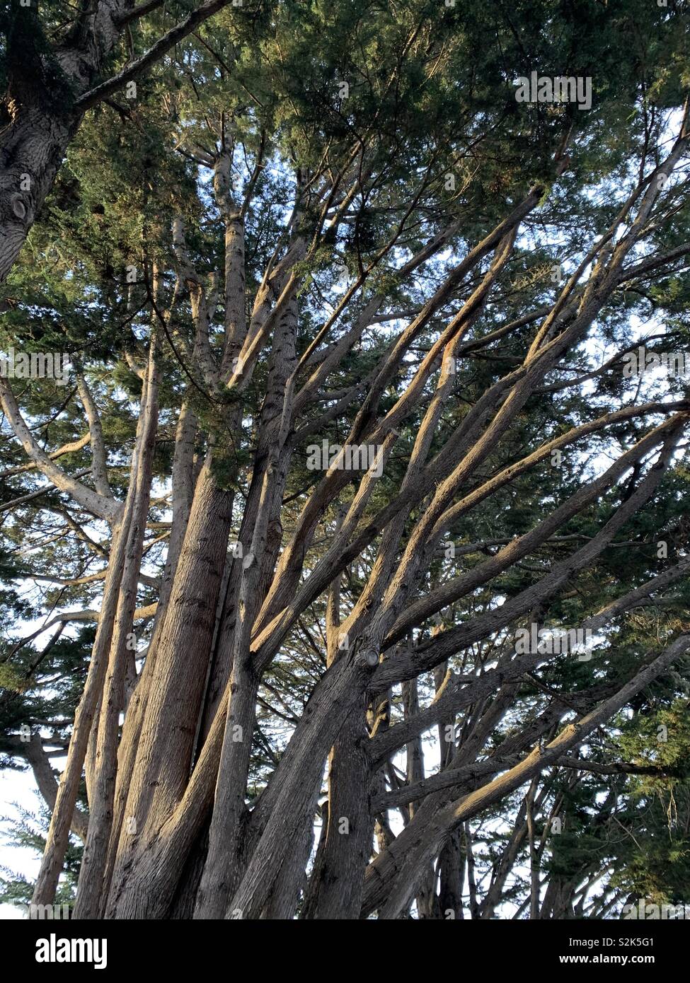 Tall sky hi-res stock photography and images - Alamy