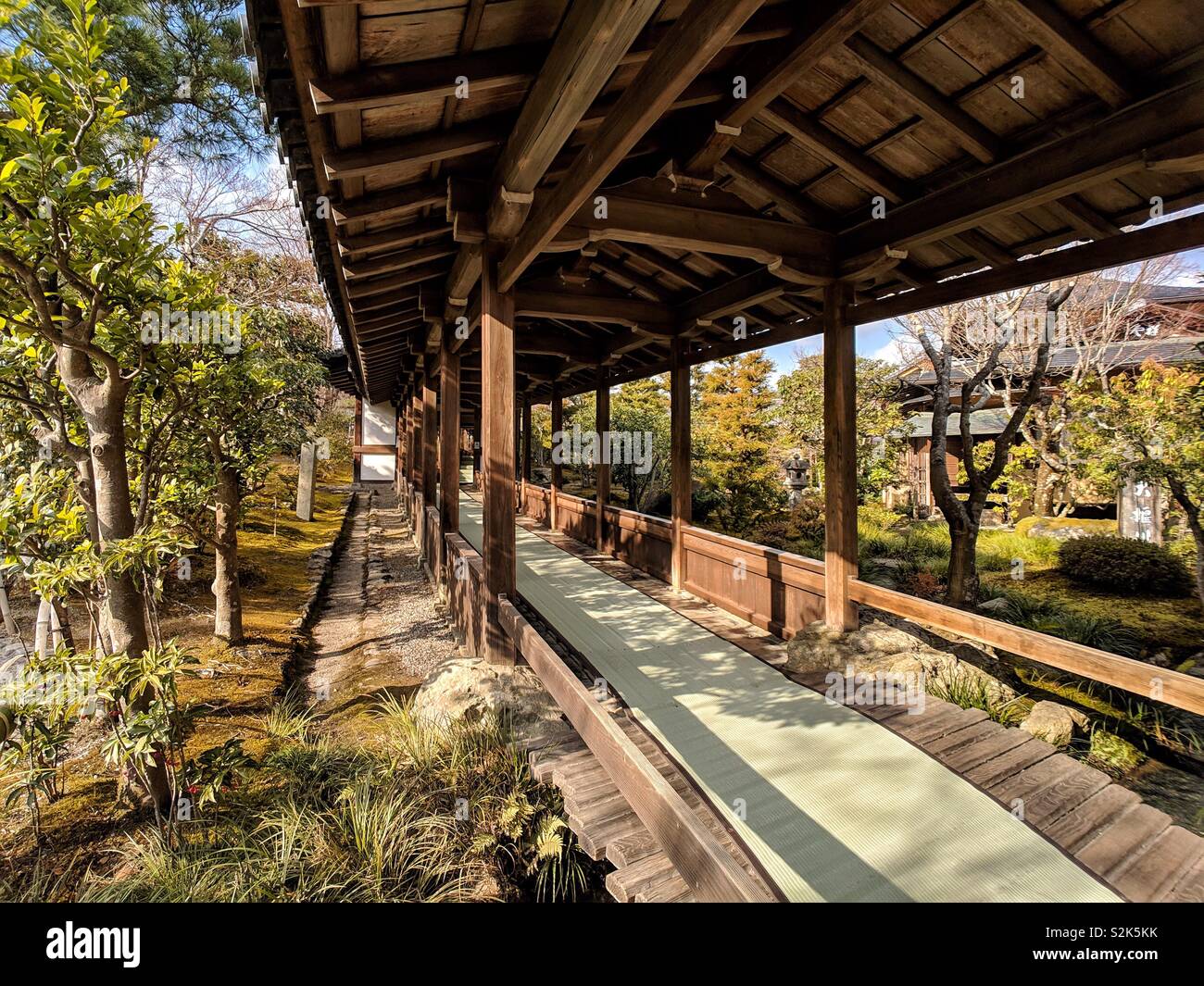 Sanctuary exotic tea hi-res stock photography and images - Alamy