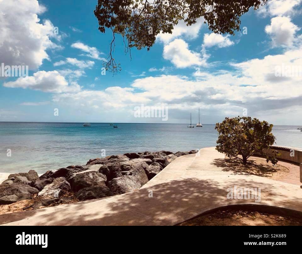 Sandpiper barbados hi-res stock photography and images - Alamy
