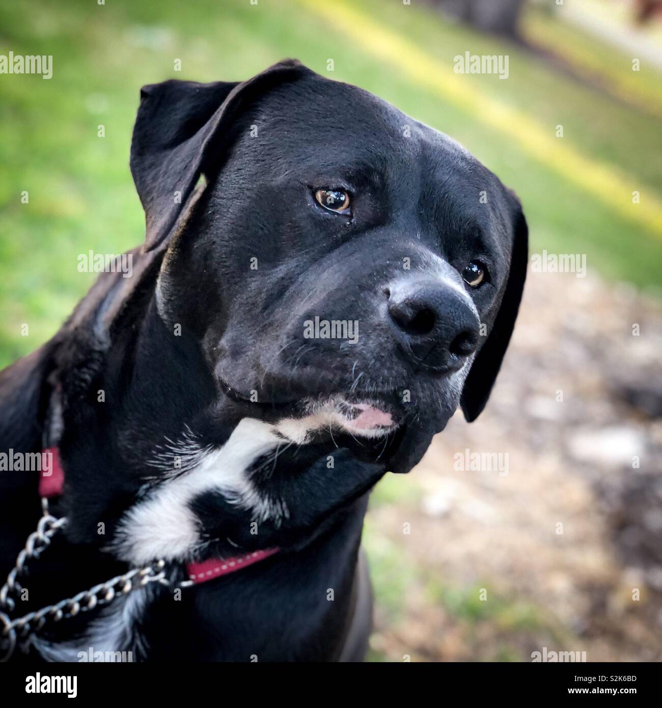 Best friend hi-res stock photography and images - Alamy