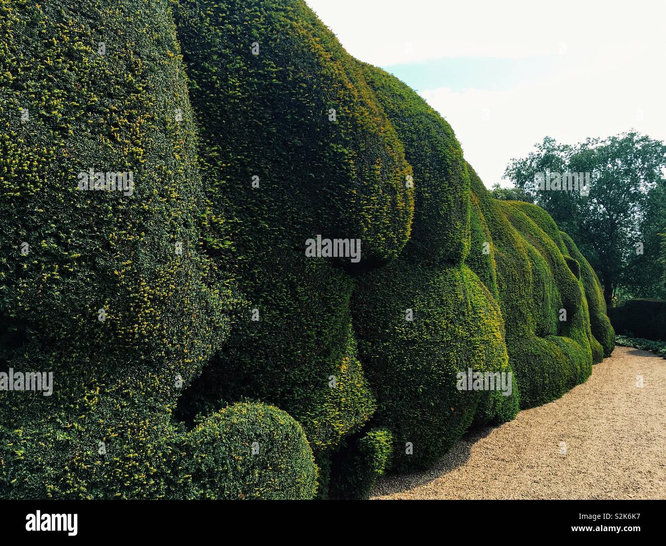 Topiary hedges hi-res stock photography and images - Alamy