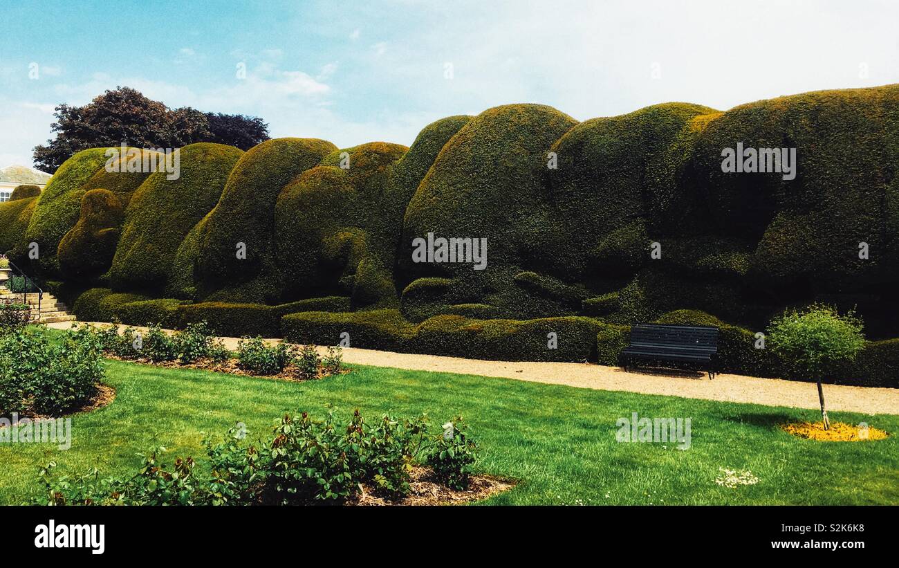 Topiary hedge hi-res stock photography and images - Alamy