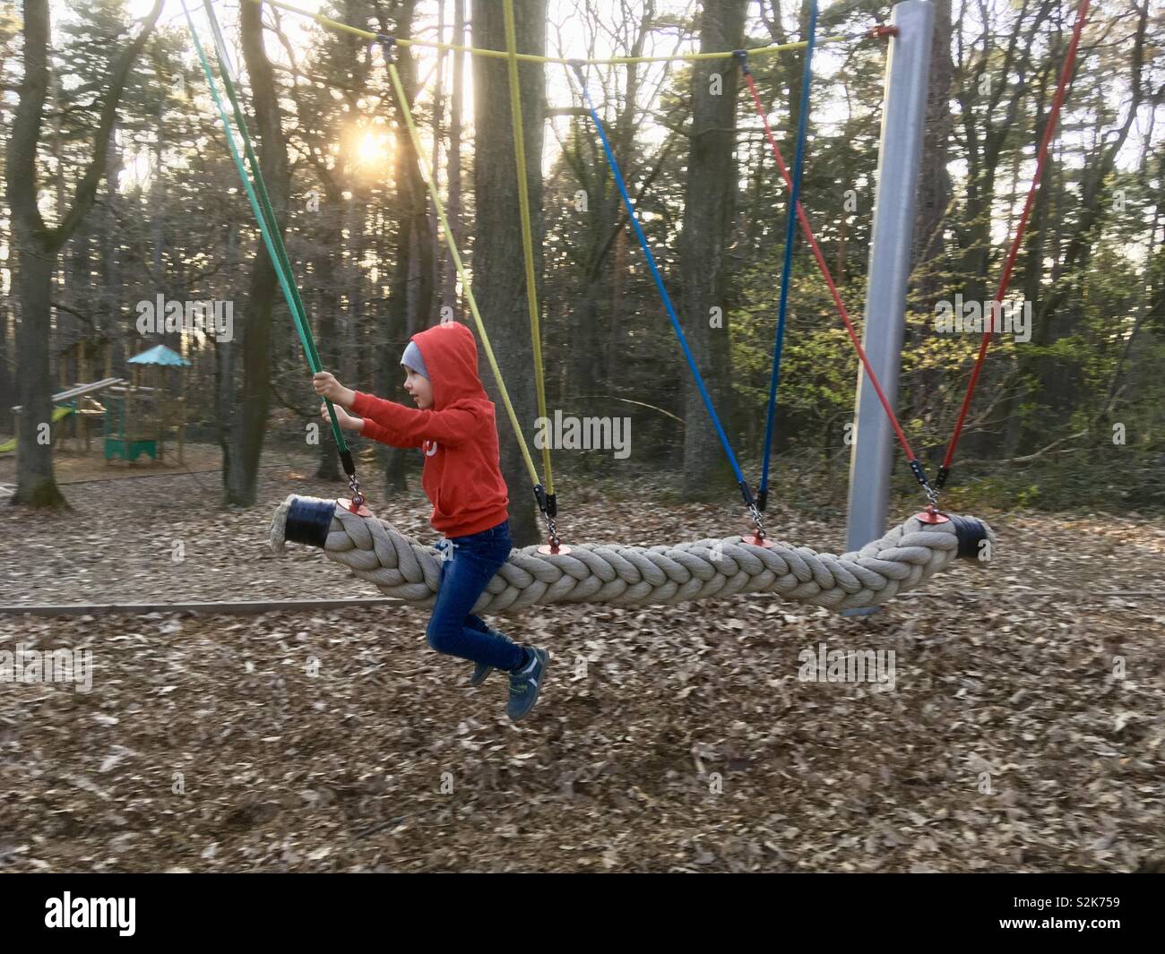 Child swinging in forest playground Stock Photo - Alamy