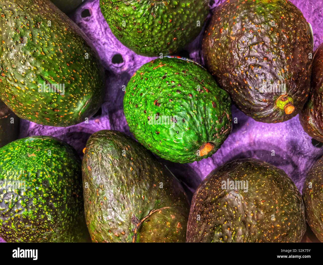 Beautiful skins hi-res stock photography and images - Alamy