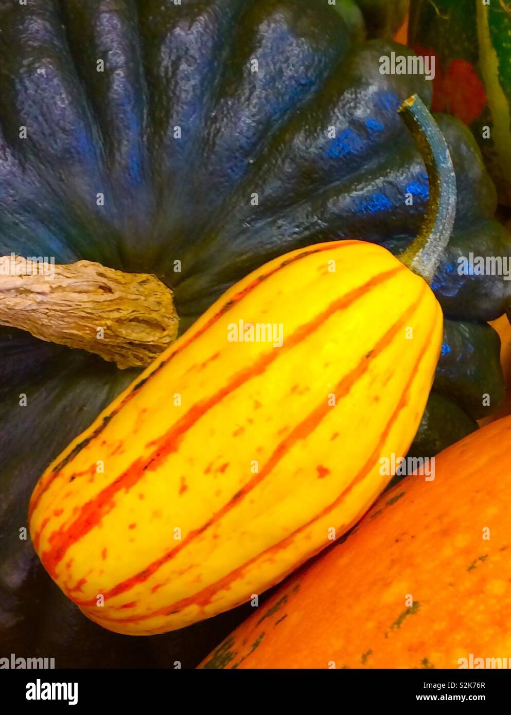 Great and glorious Stock Photo - Alamy