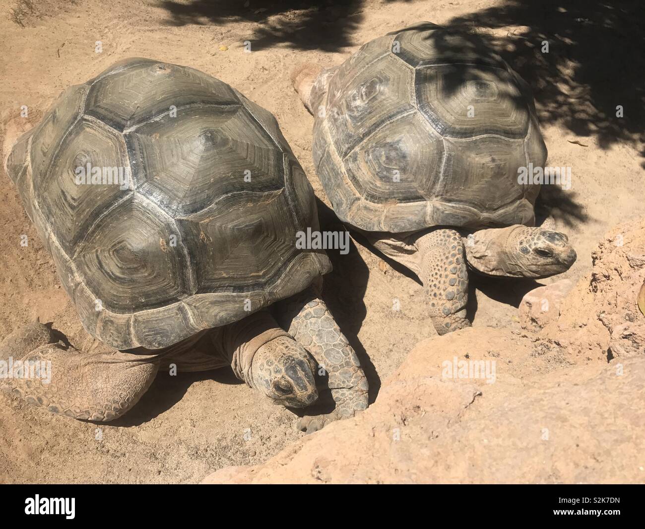 Two mates hi-res stock photography and images - Alamy