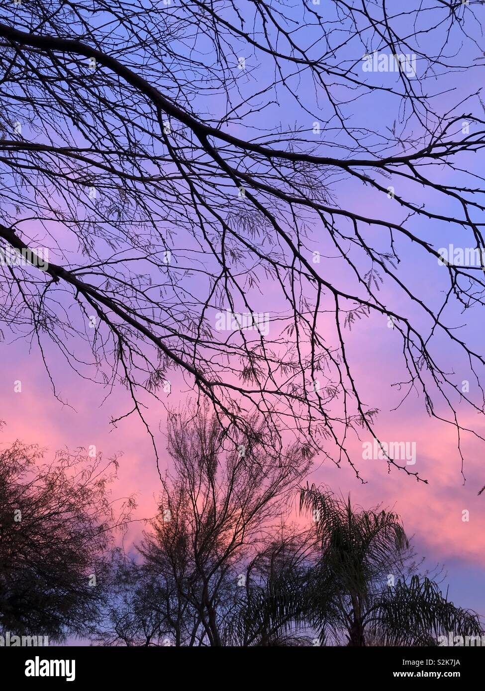 Ablaze With Color Stock Photos & Ablaze With Color Stock Images - Alamy