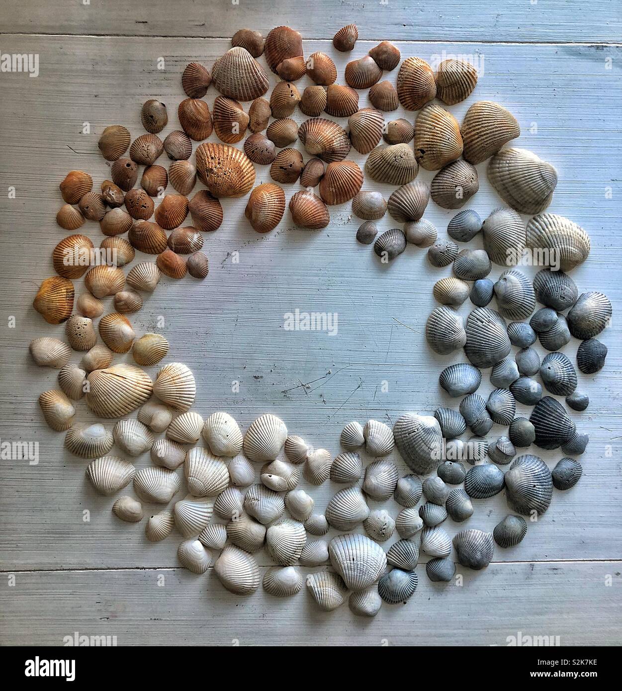 Decorating with shells hi-res stock photography and images - Alamy