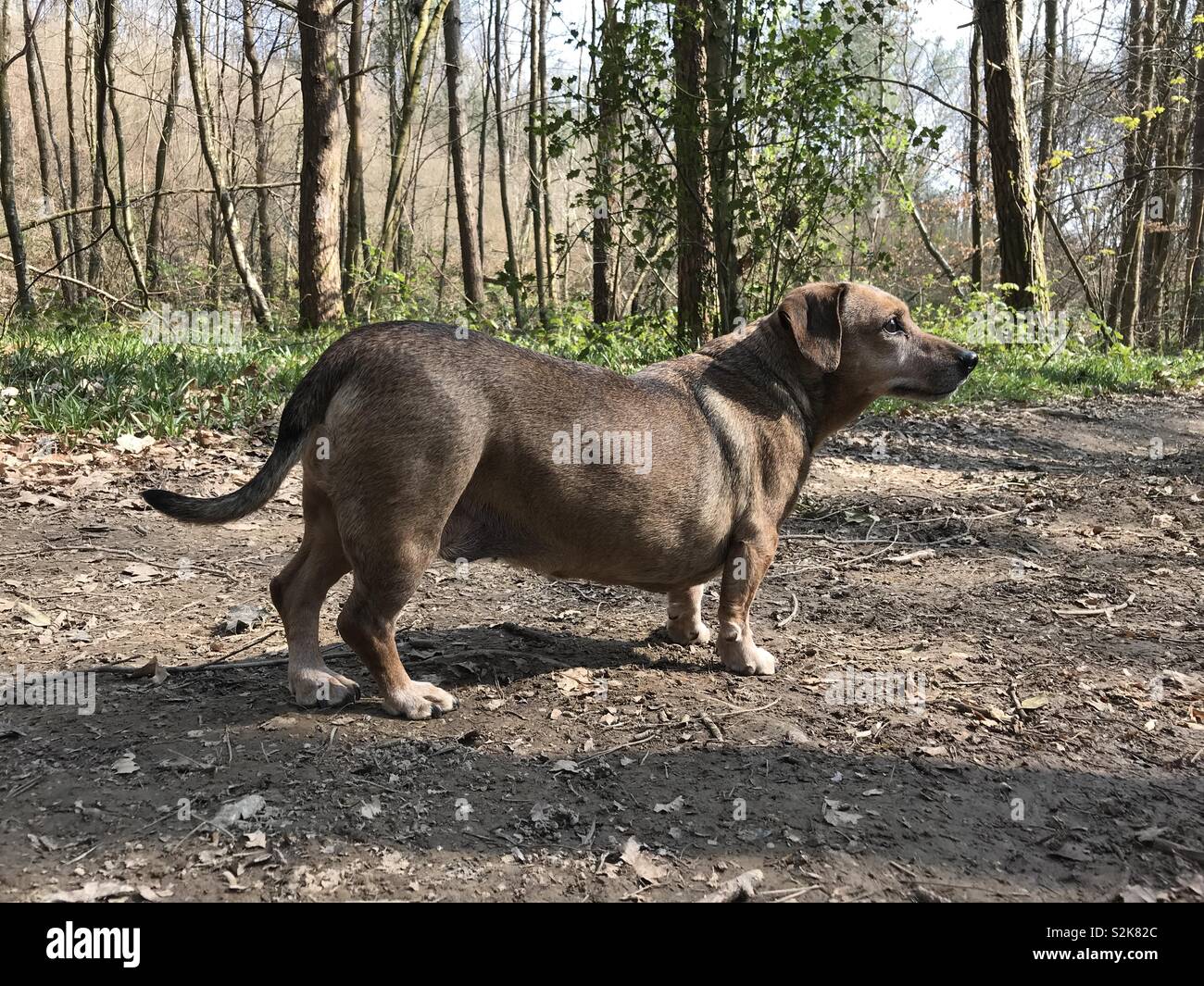 Stand and stare hi-res stock photography and images - Alamy