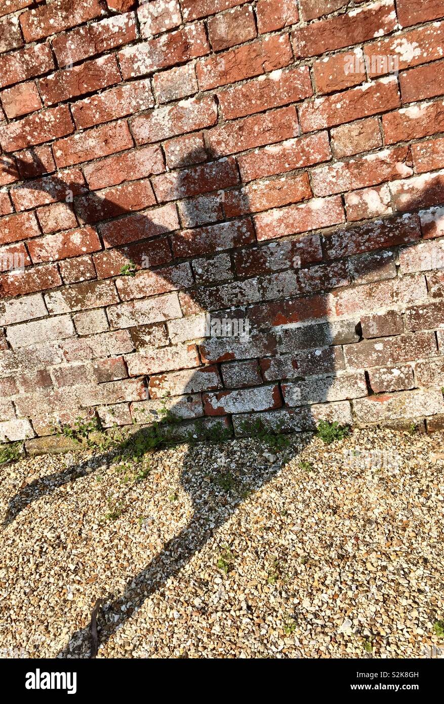 Girl legs shadow on wall hi-res stock photography and images - Alamy