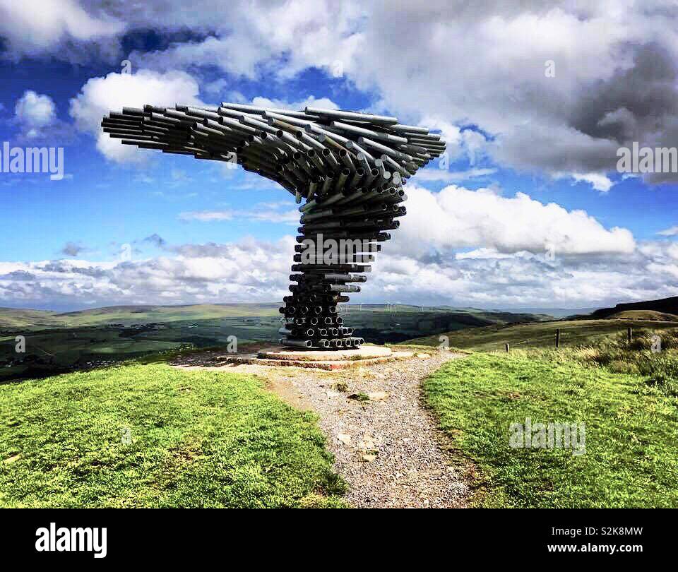 Singing ring tree hi-res stock photography and images - Alamy