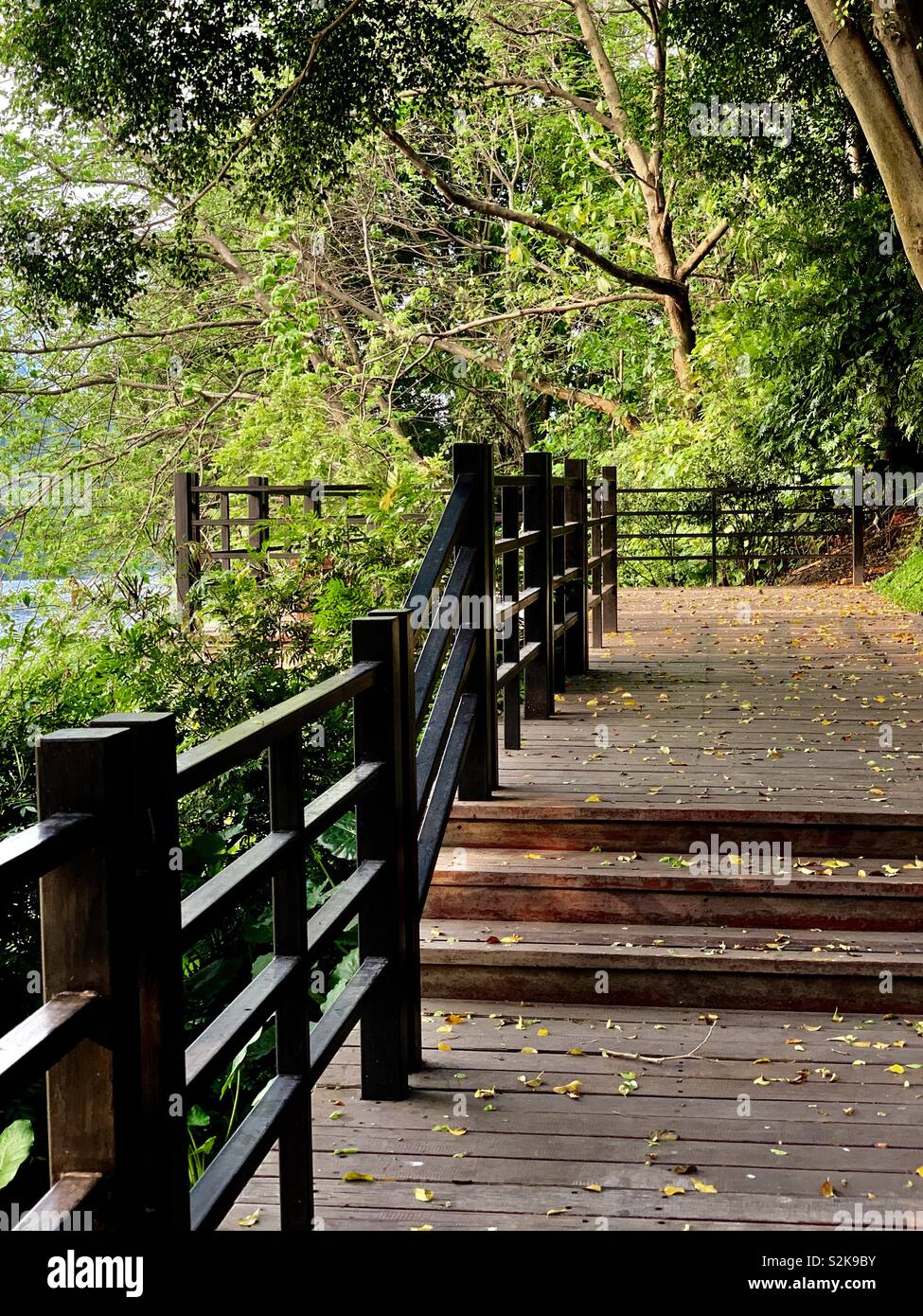 Beautiful paths hi-res stock photography and images - Alamy