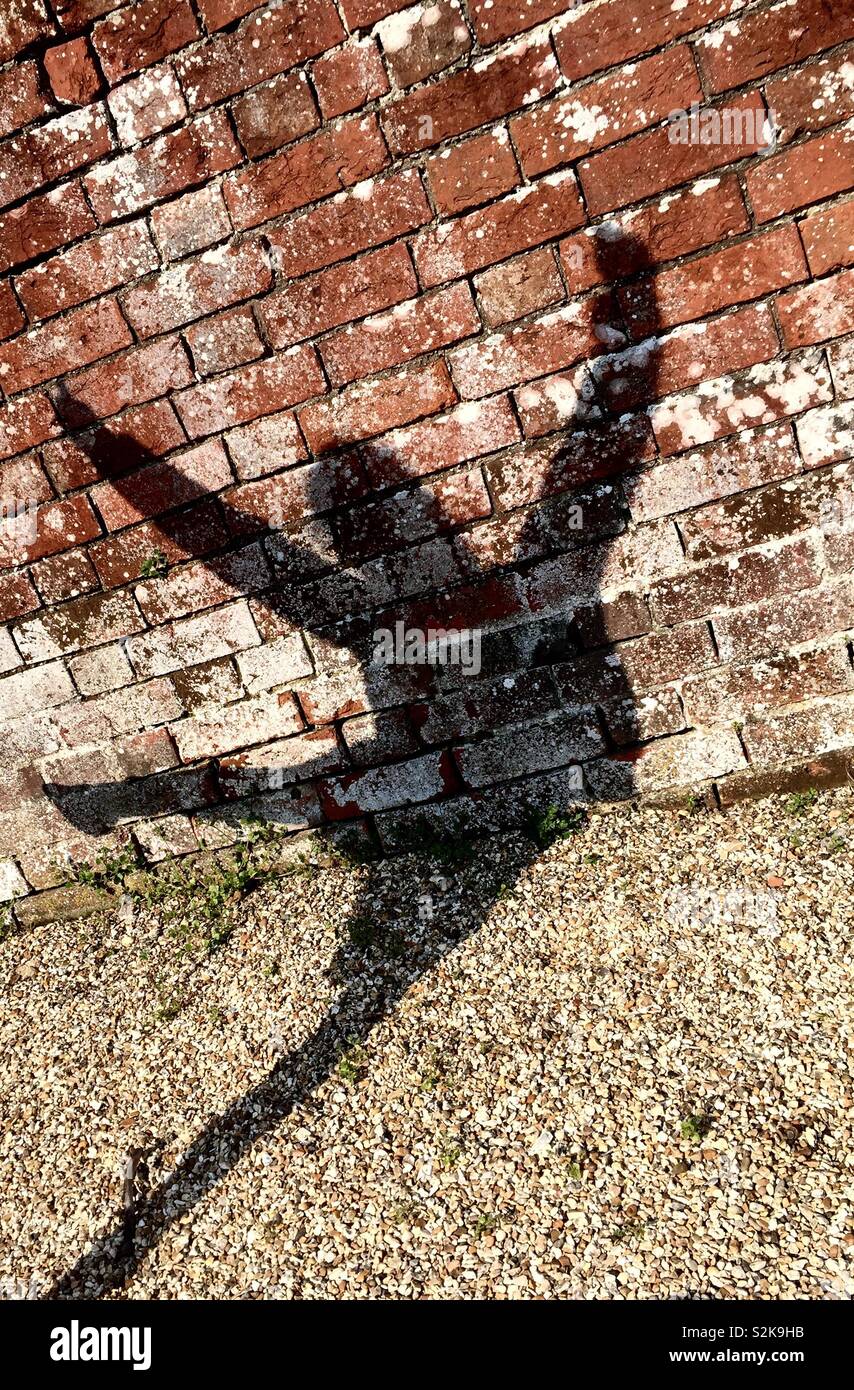 Shadow of a female child on a wall and gravel path way. In a ballerina ...