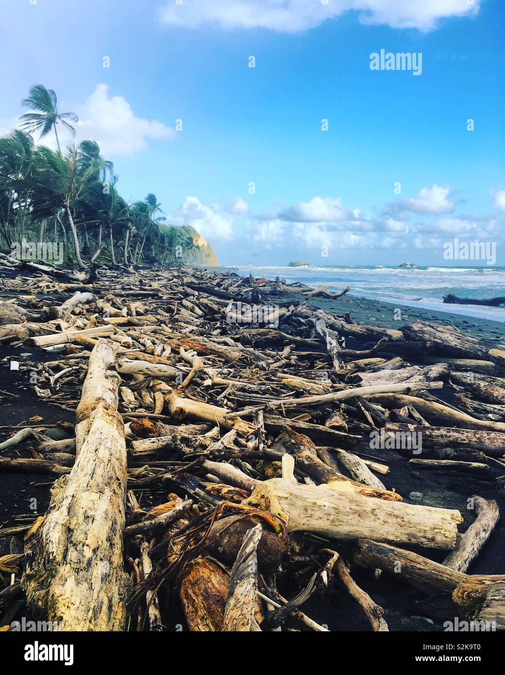 Drift Wood Beach High Resolution Stock Photography and Images - Alamy