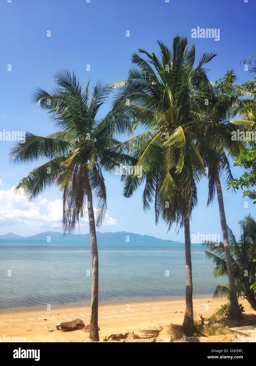 Thailand- Koh sumai Stock Photo - Alamy