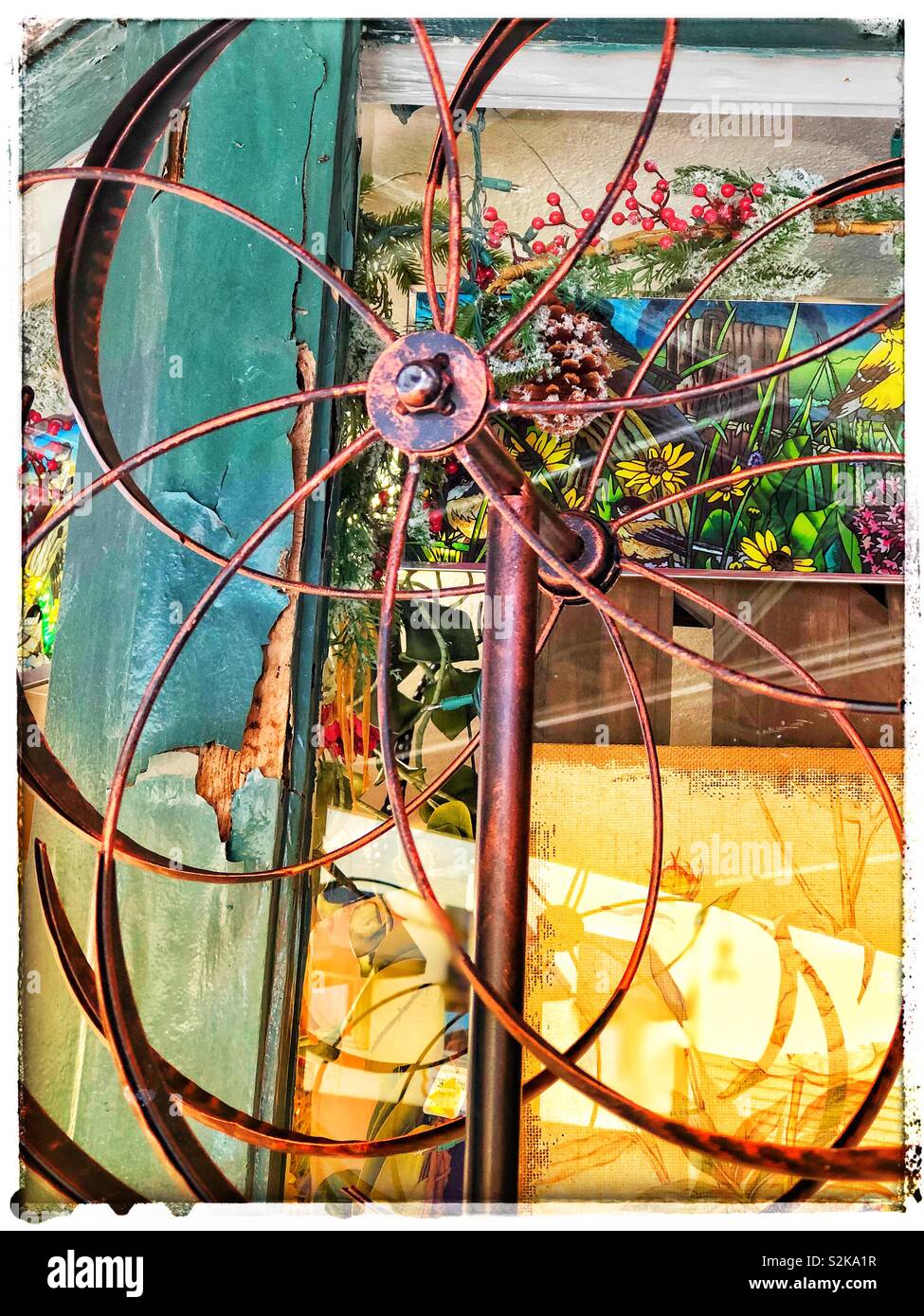 Whirligig flowers hi-res stock photography and images - Alamy
